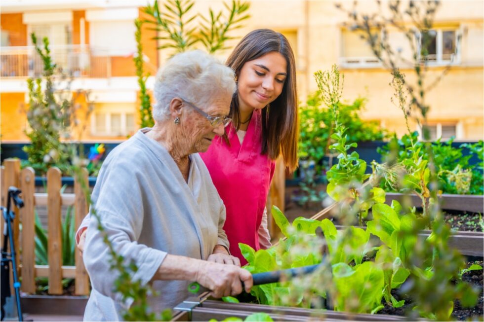 Maintain Independence in a Care Home - The Chestnuts